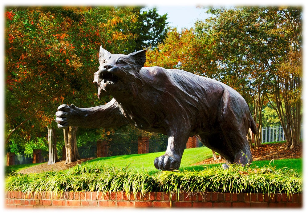Davidson College Wildcat Statue - North Carolina Photography ...