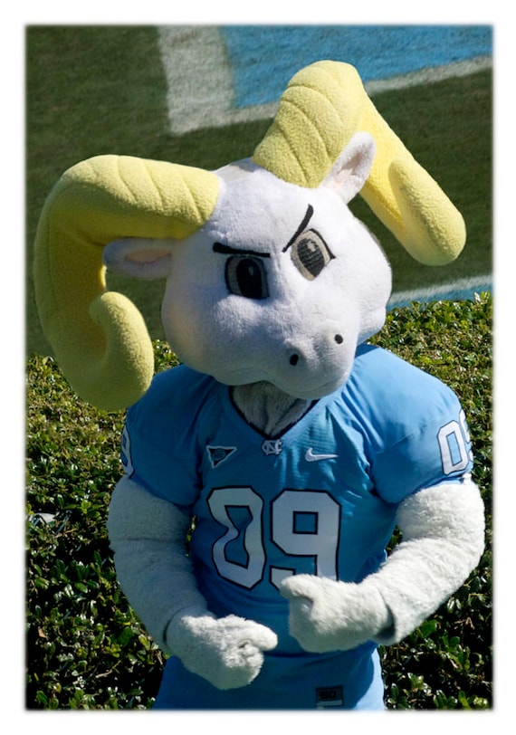 UNC-Chapel Hill Football Rameses North Carolina Photography | Etsy