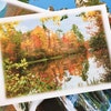 North Carolina State Parks Note Cards Set of 10 Different Photos North ...