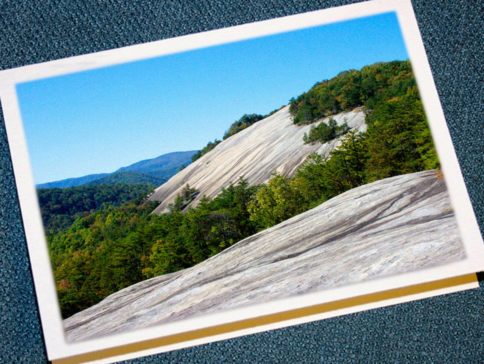 North Carolina State Parks Note Cards Set of 10 Different - Etsy