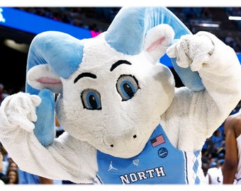 Unc-chapel Hill Football Rameses North Carolina Photography - Etsy