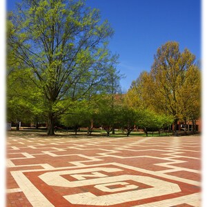 NC State Brickyard Photography - NCSU, North Carolina State University ...