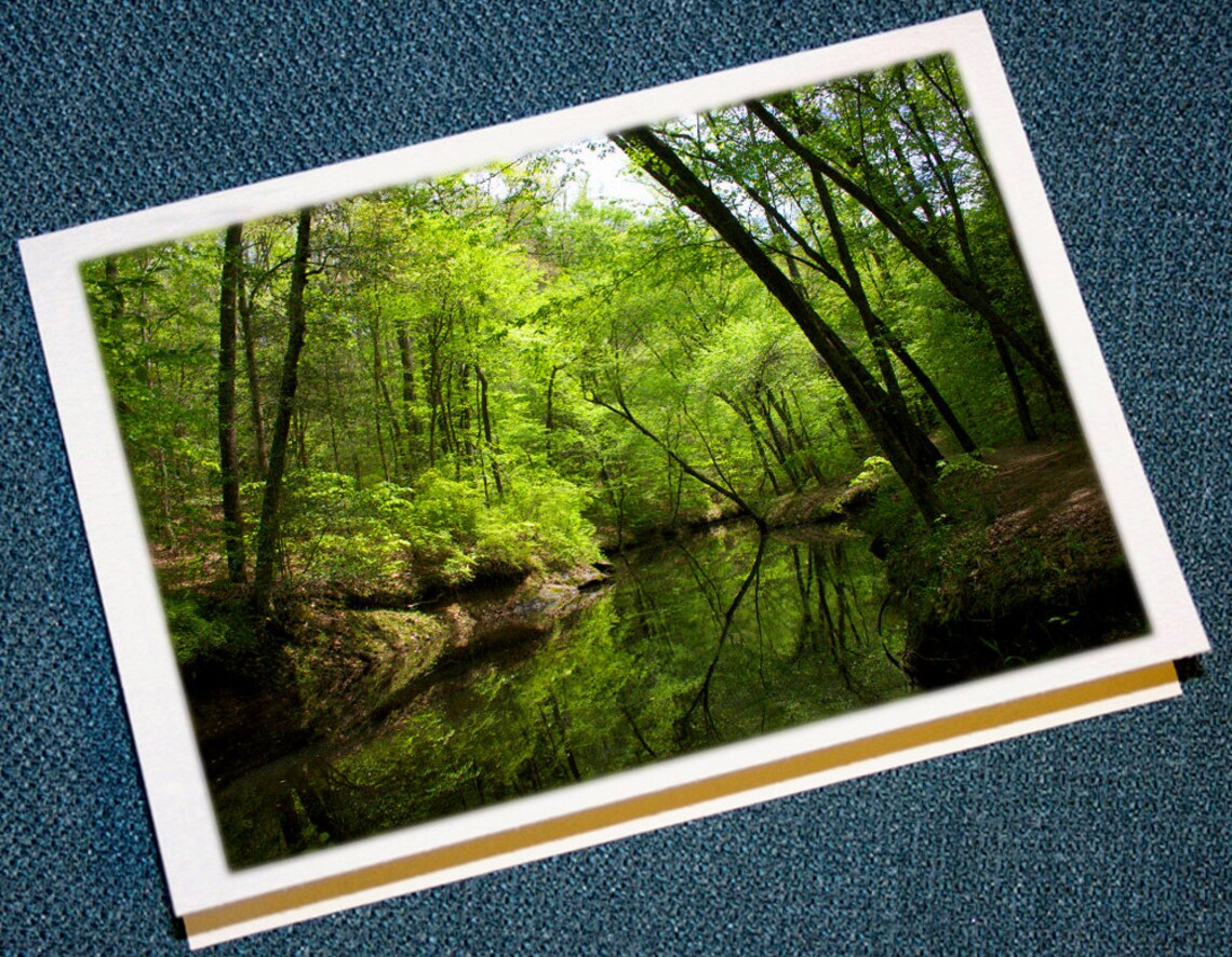 North Carolina State Parks Note Cards Set of 10 Different | Etsy