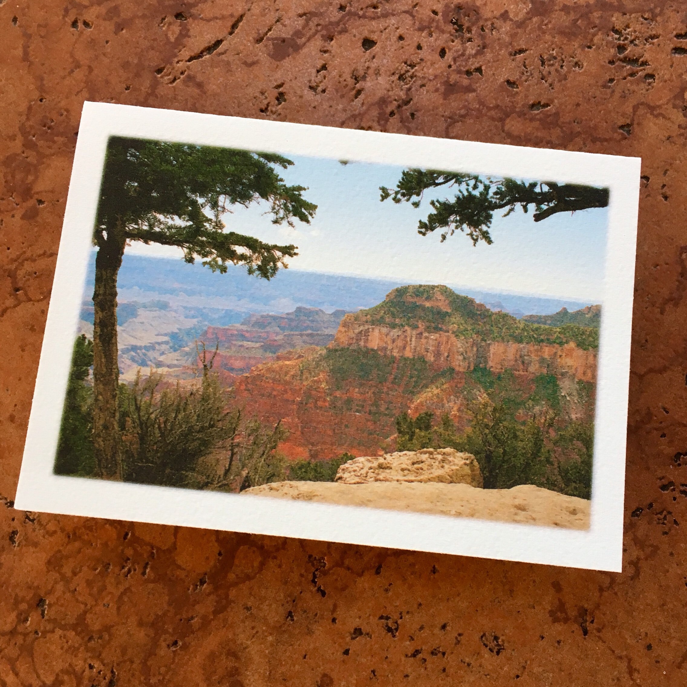 Bright Angel View Grand Canyon Photography Southwestern - Etsy