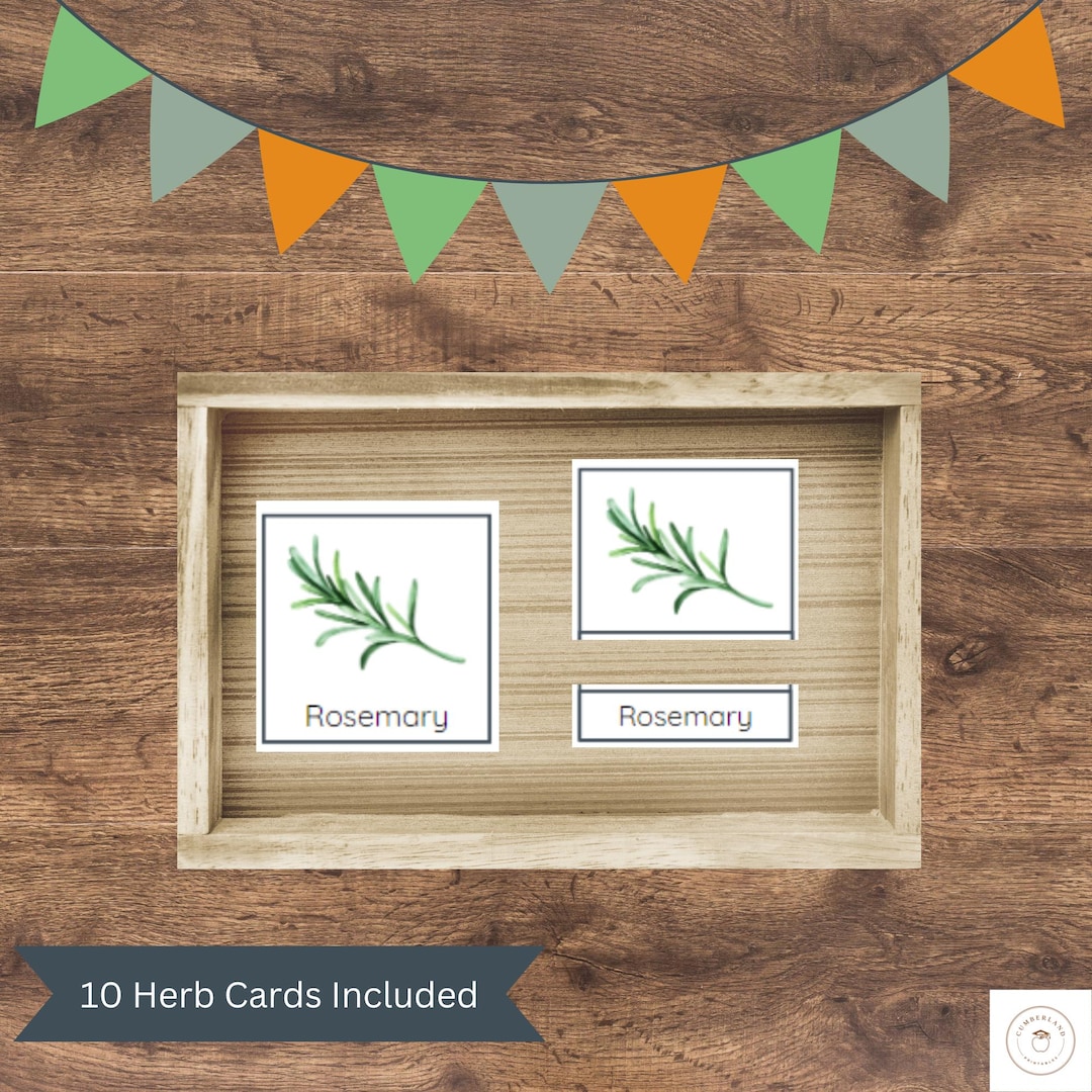 Herbs Montessori 3-part Cards: Botanical Vocabulary (digital Download ...