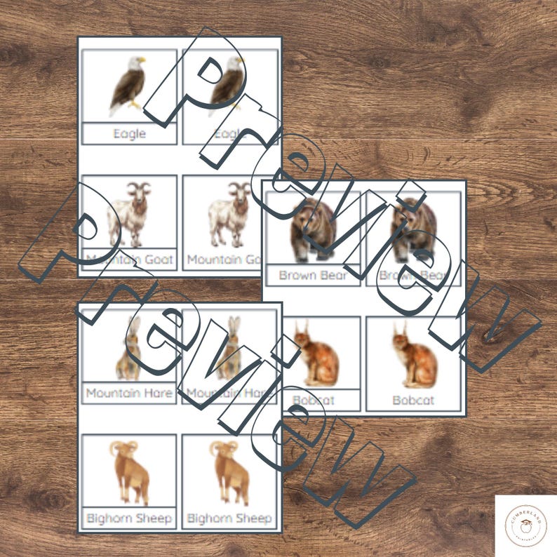 Mountain Animals Montessori 3-part Cards | Nomenclature Cards ...