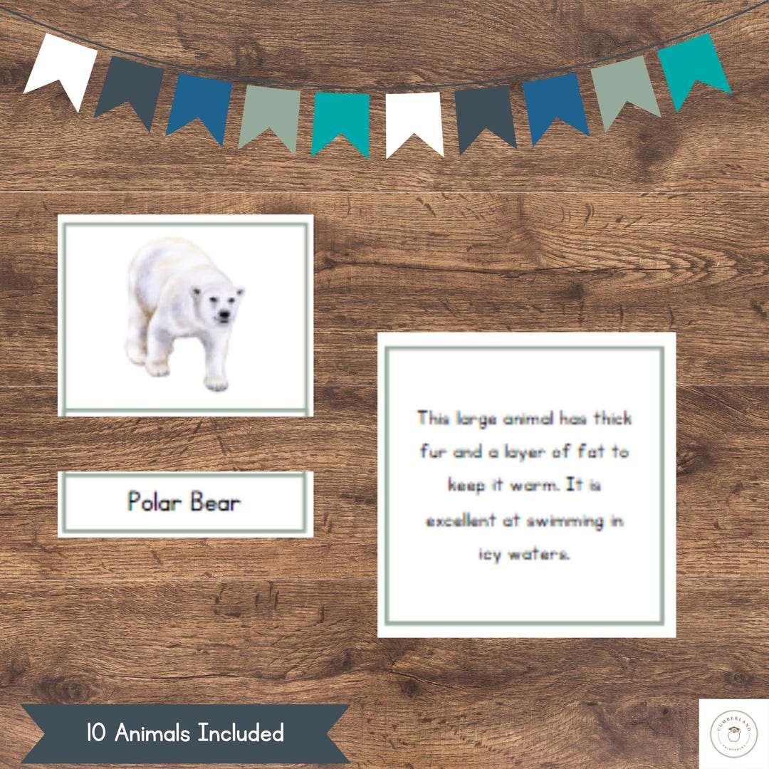 Arctic Animals Montessori 3-part Cards | Polar Wildlife Facts | Winter ...