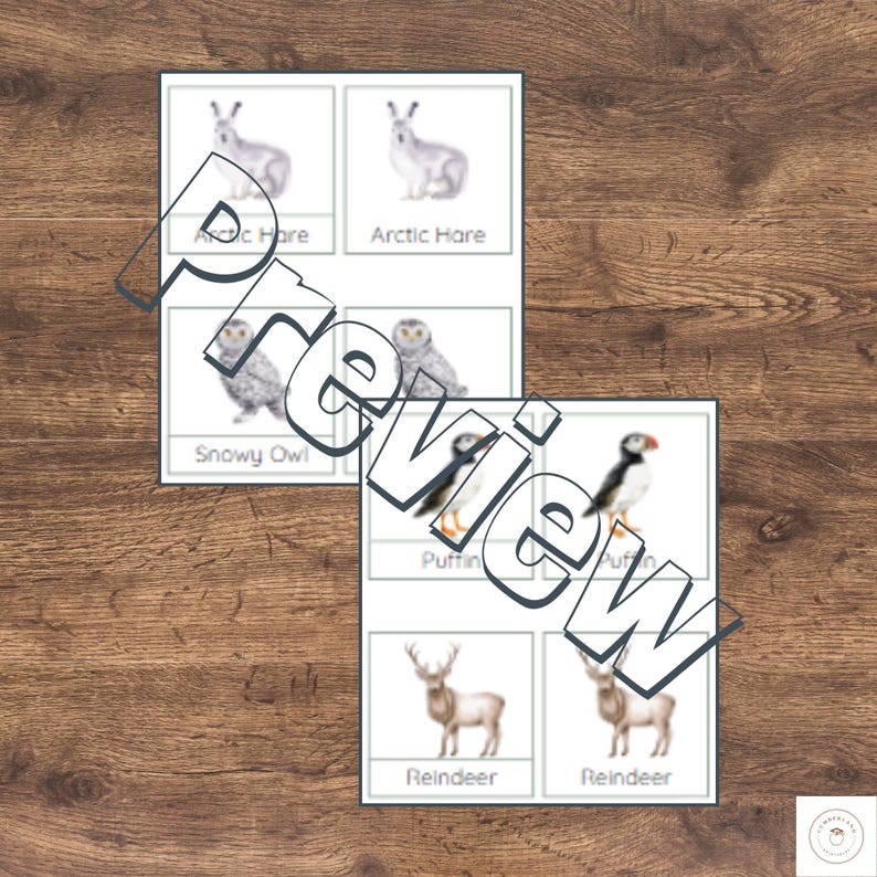 Polar Animals 3-part Cards - Montessori Nomenclature Cards | Vocabulary ...
