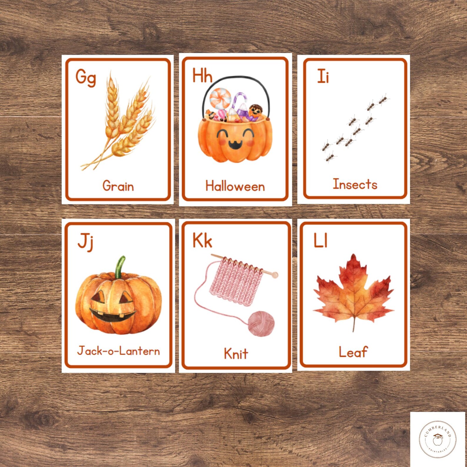 Autumn Themed Alphabet Flashcards A to Z Manuscript - Etsy