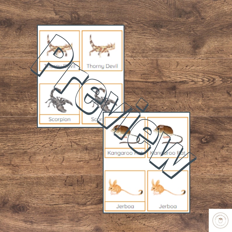 Desert Animals 3-part Cards - Montessori Nomenclature Cards ...