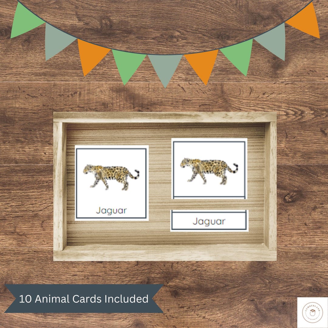 Rainforest Animals Montessori Cards: Wildlife Vocabulary (digital ...