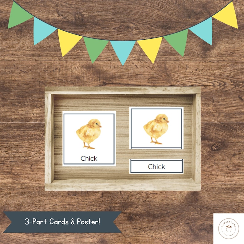 Life Cycle of a Chicken - Montessori 3-part Cards & Poster, Life Cycle ...