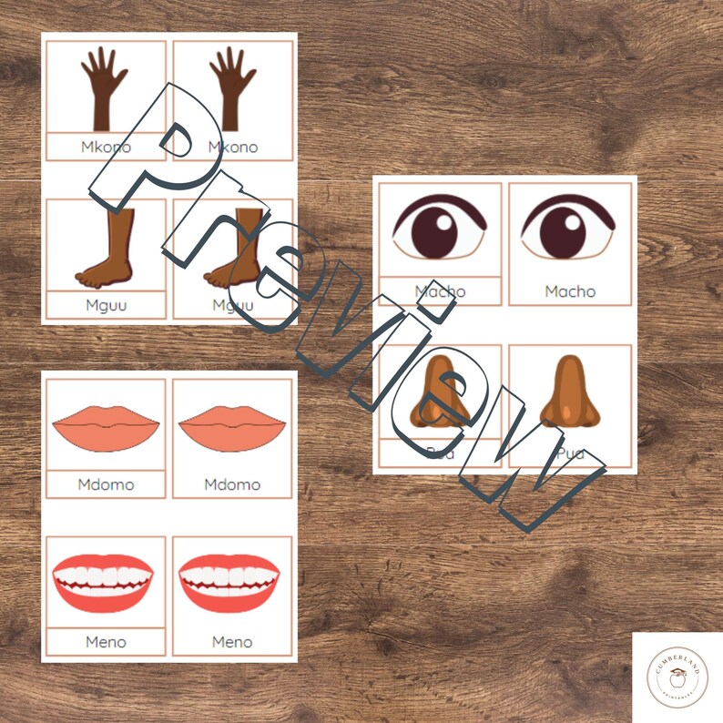 Swahili Body Parts Montessori 3-part Cards | Learn Kiswahili Vocabulary ...