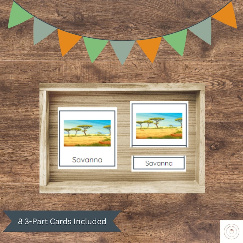 Animal Habitats Montessori 3-part Cards | Nomenclature Cards | Wildlife ...