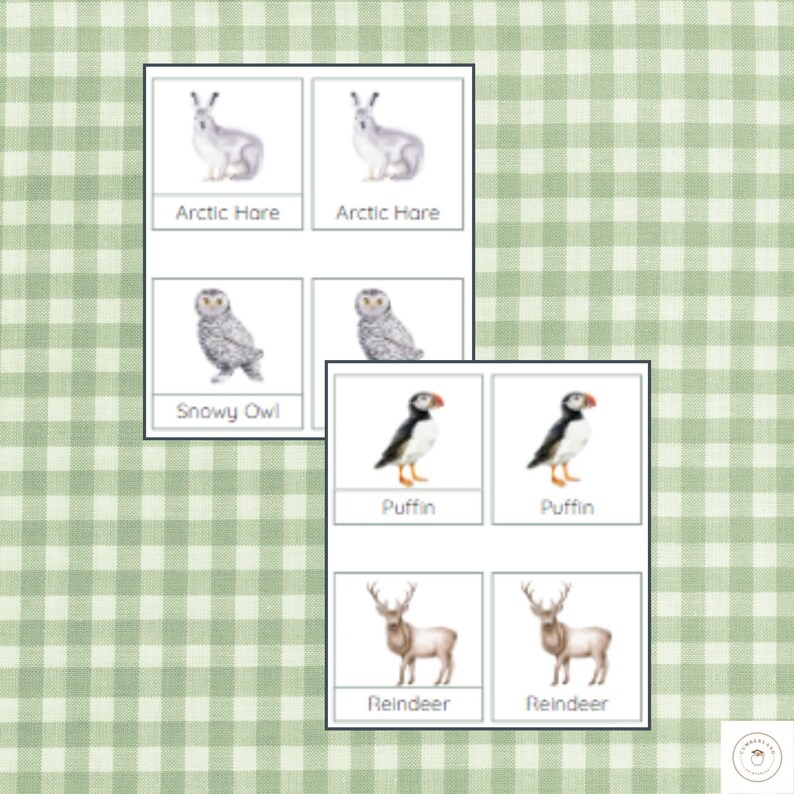 Polar Animals Montessori 3-part Cards - Etsy