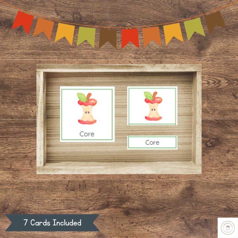 Parts of an Apple Montessori 3-part Cards | Printable Botany Activity ...