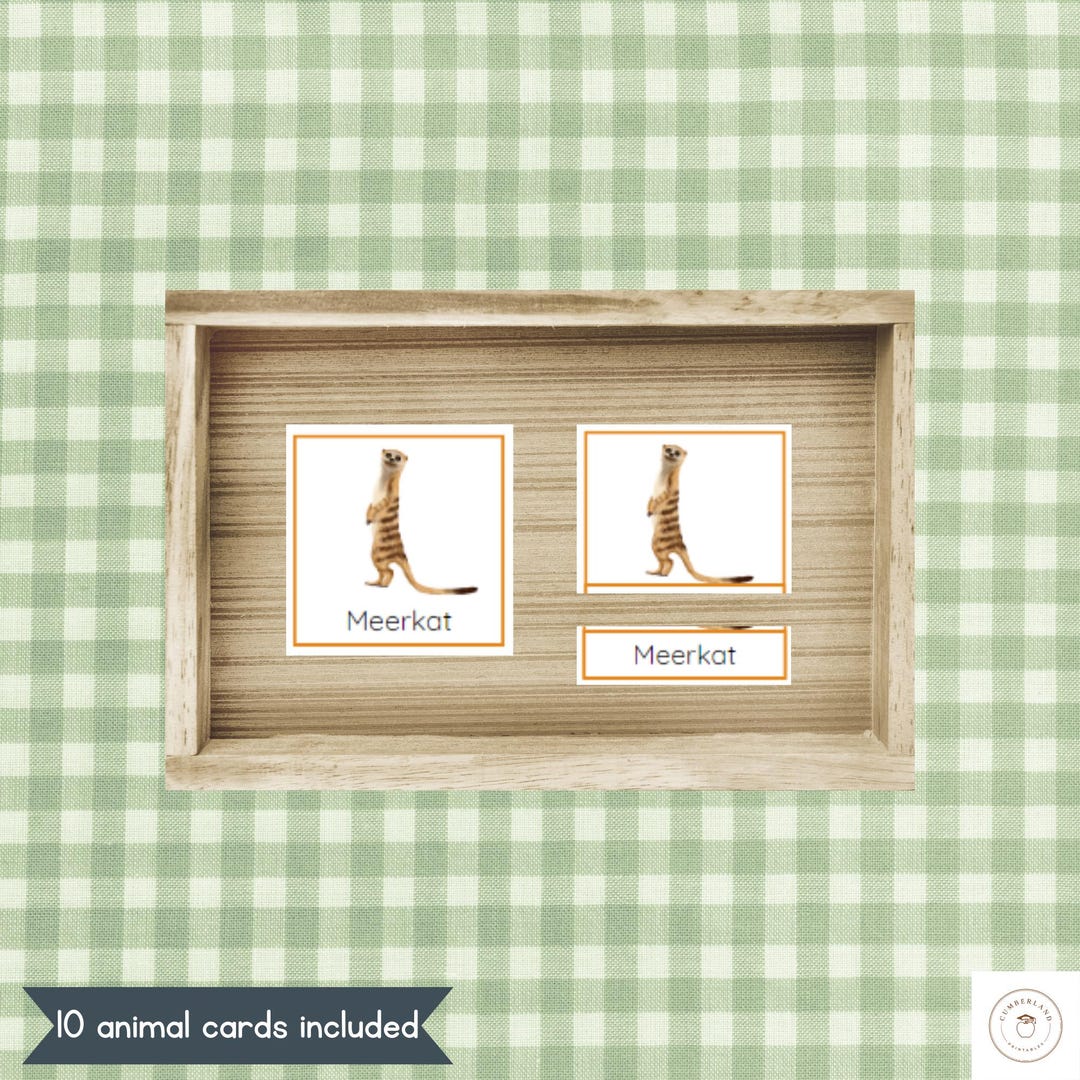 Desert Animals Montessori 3-part Cards - Etsy