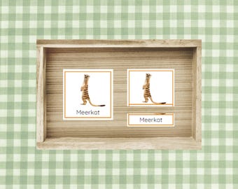 Asian Animals Montessori Cards, 3-part Cards, Nomenclature Flashcards ...