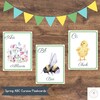 Life Cycle of a Chicken - Montessori 3-part Cards & Poster, Life Cycle ...