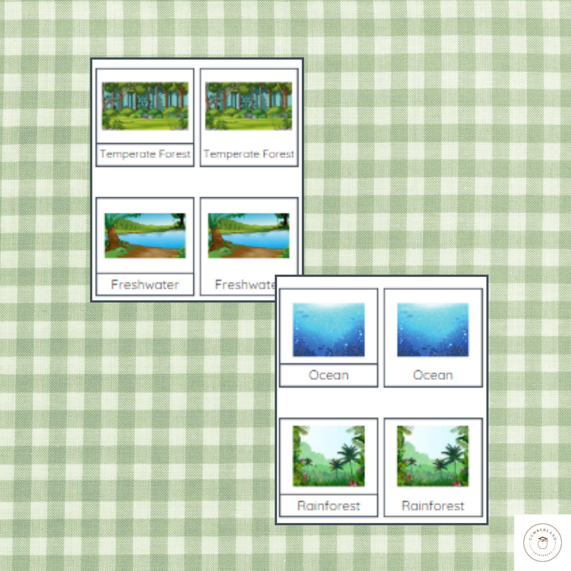 Animal Habitats Montessori 3-part Cards - Etsy