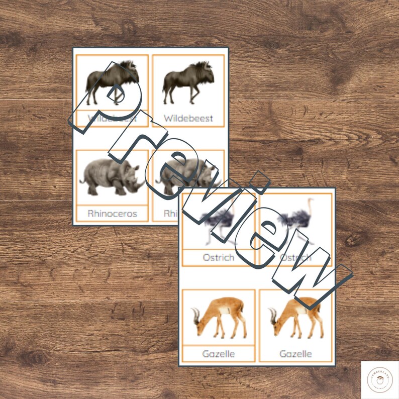 Savanna Animals Montessori 3-part Cards | Nomenclature Cards | Animal ...