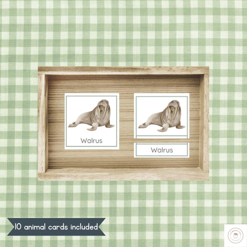 Polar Animals Montessori 3-part Cards - Etsy