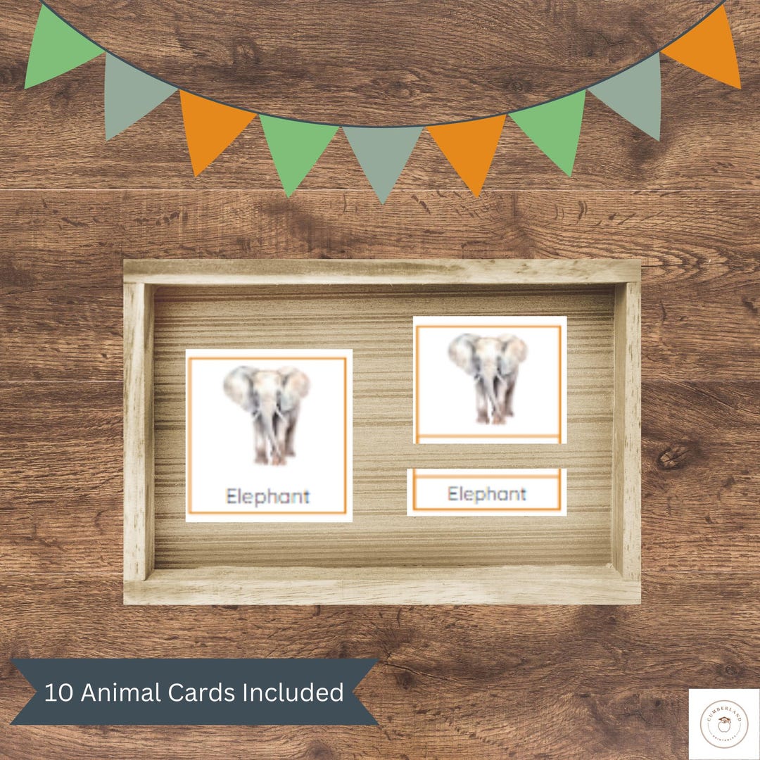 Savanna Animals Montessori 3-part Cards | Nomenclature Cards | Animal ...