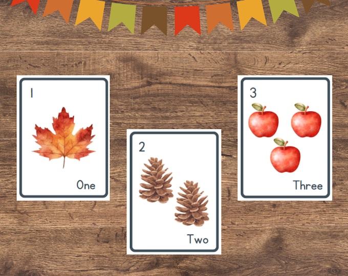 Autumn Number Flashcards 1-10: Preschool Math (PDF Download) - Etsy