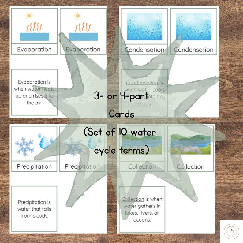 Water Cycle Activities Bundle | Montessori 3-part Cards, Sequencing ...
