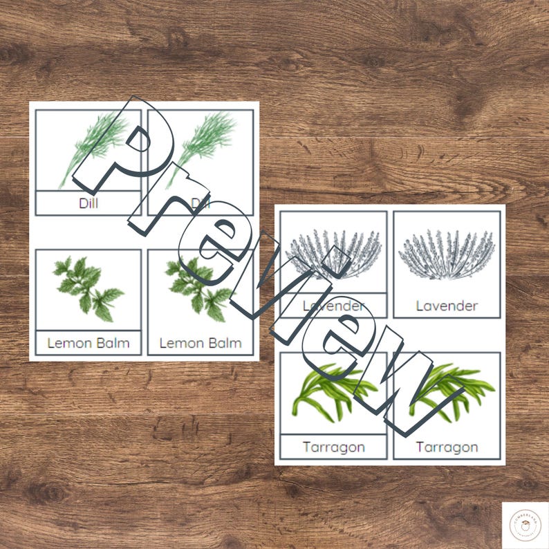 Herbs Montessori 3-part Cards: Botanical Vocabulary (digital Download ...