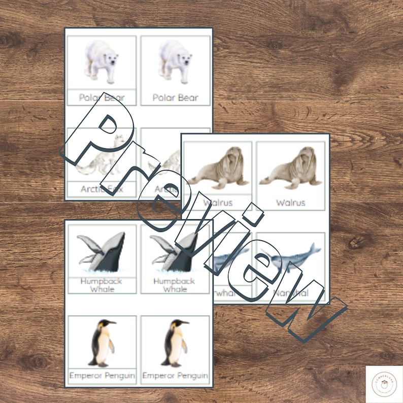 Polar Animals 3-part Cards - Montessori Nomenclature Cards | Vocabulary ...