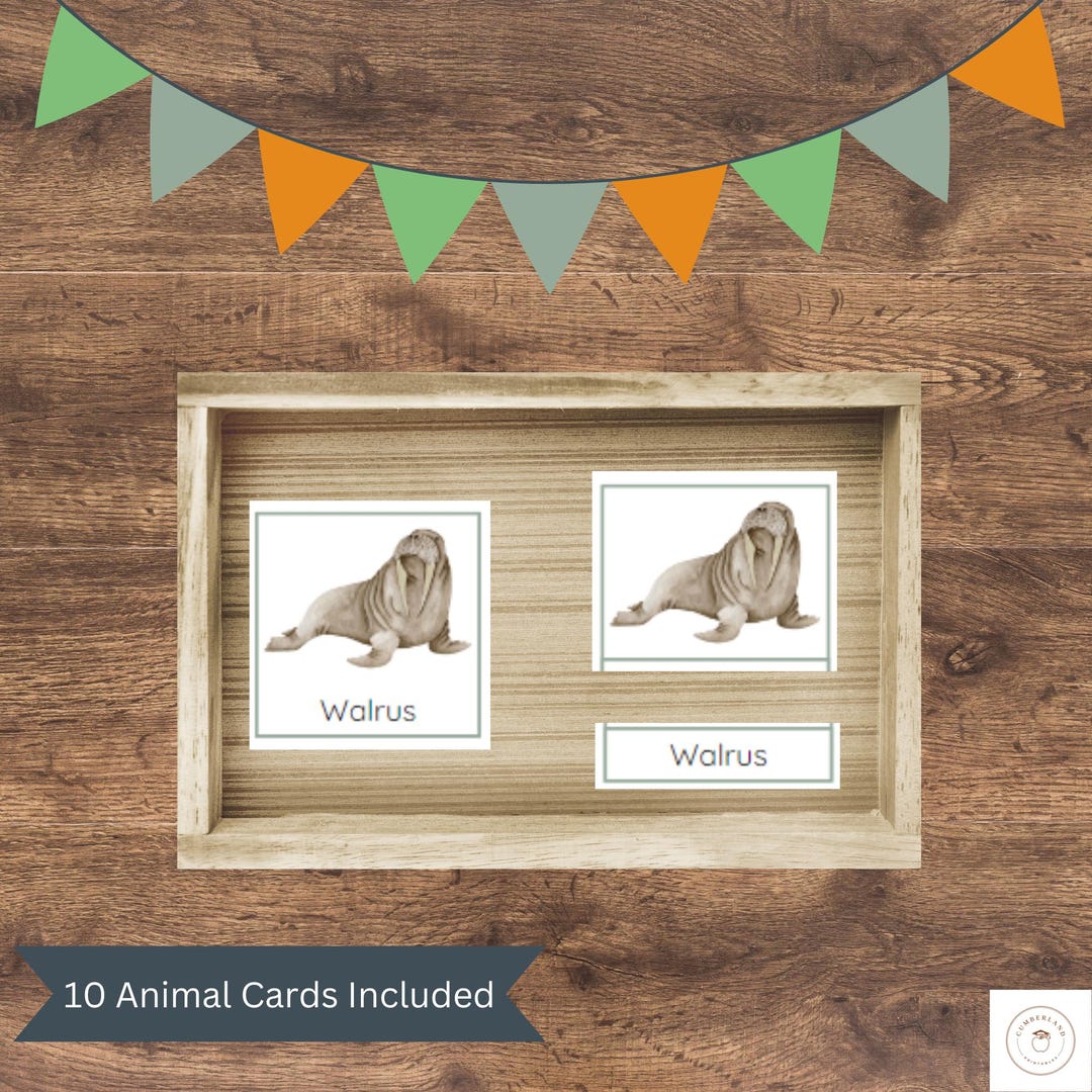 Polar Animals 3-part Cards - Montessori Nomenclature Cards | Vocabulary ...