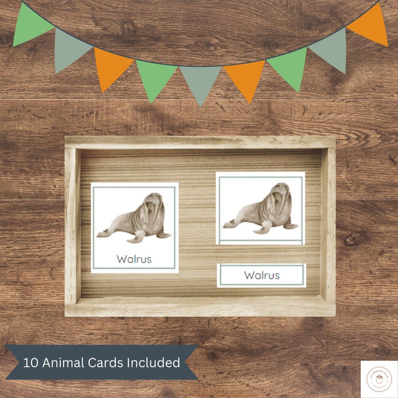 Polar Animals 3-part Cards - Montessori Nomenclature Cards | Vocabulary ...