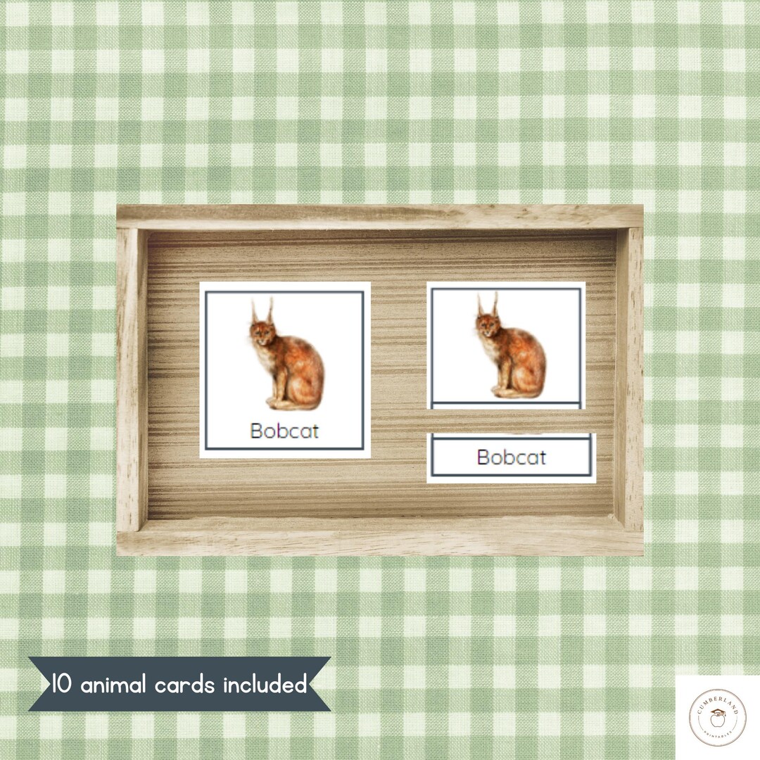 Mountain Animals Montessori 3-part Cards - Etsy