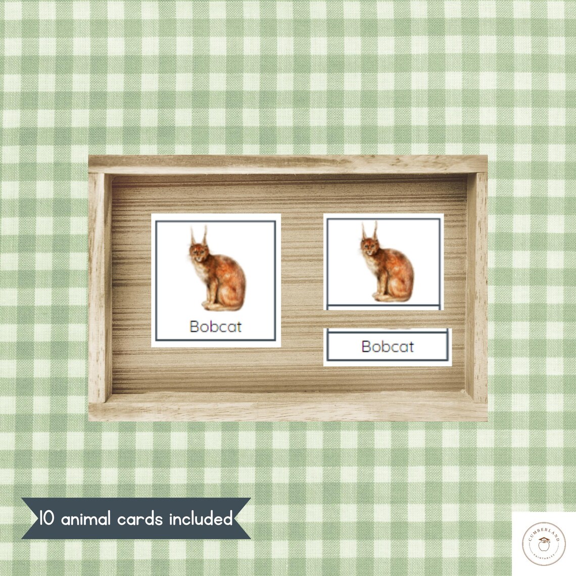 Mountain Animals Montessori 3-part Cards - Etsy