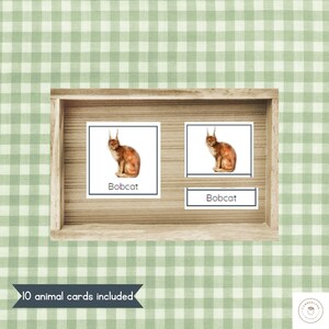 Mountain Animals Montessori 3-part Cards - Etsy