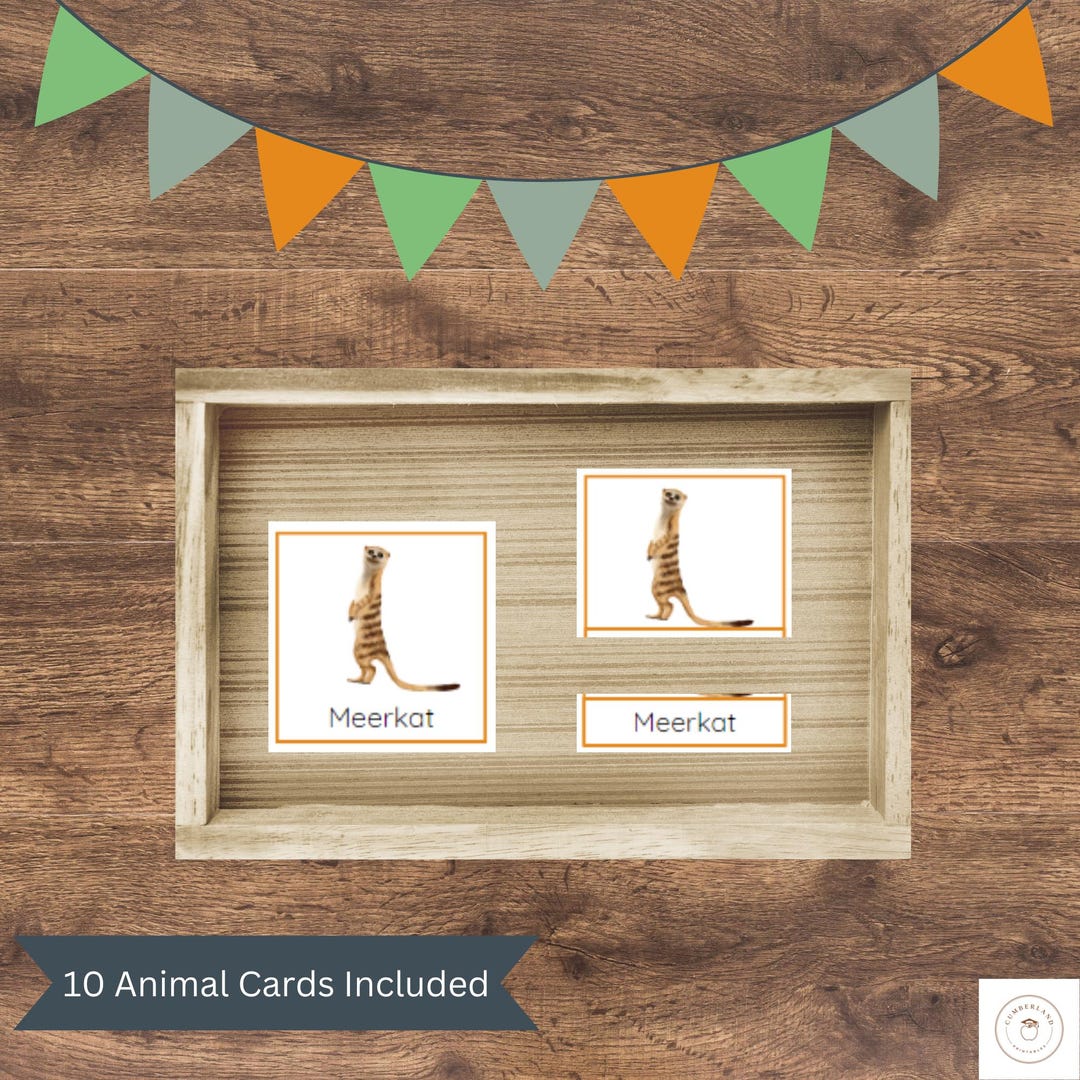 Desert Animals 3-part Cards - Montessori Nomenclature Cards ...