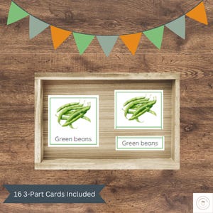 Montessori Vegetable 3-part Cards | Nomenclature Cards| Food Vocabulary ...