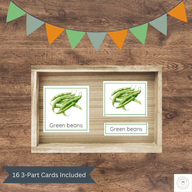 Montessori Vegetable 3-part Cards | Nomenclature Cards| Food Vocabulary ...
