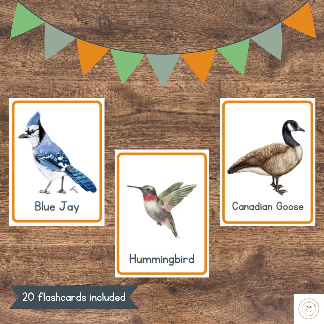 North American Birds Flashcards - Bird Identification | Nature Study ...