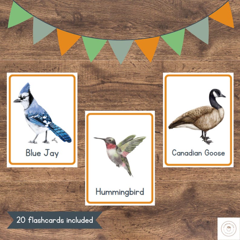 North American Birds Flashcards - Bird Identification | Nature Study ...