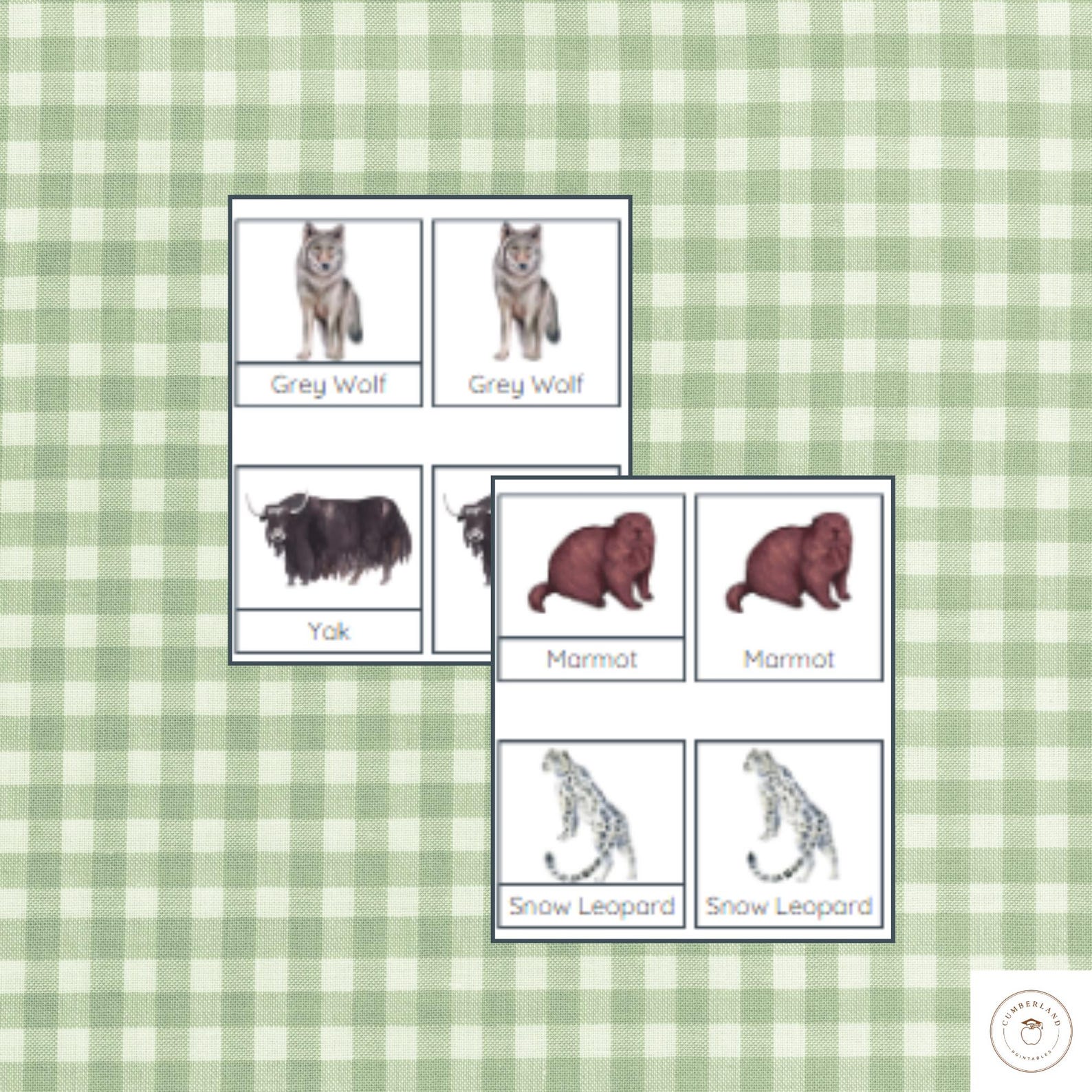 Mountain Animals Montessori 3-part Cards - Etsy