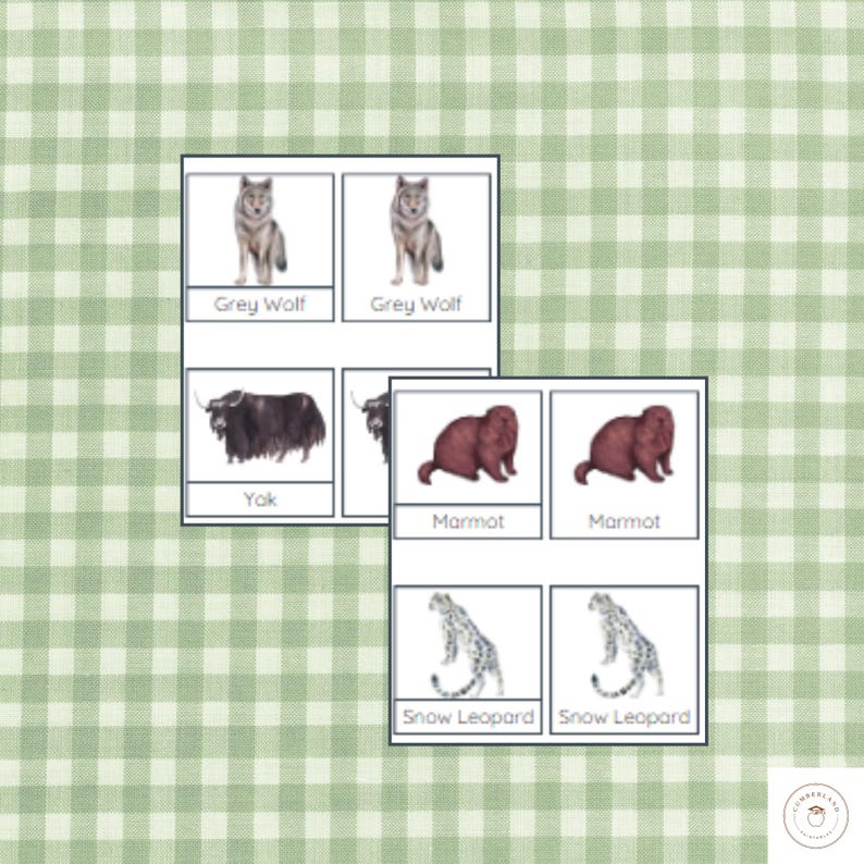 Mountain Animals Montessori 3-part Cards - Etsy