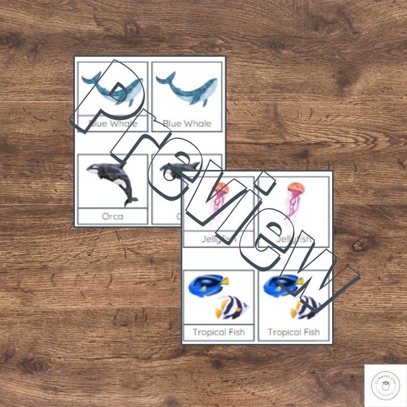 Ocean Animals Montessori 3-part Cards | Nomenclature Cards | Marine ...