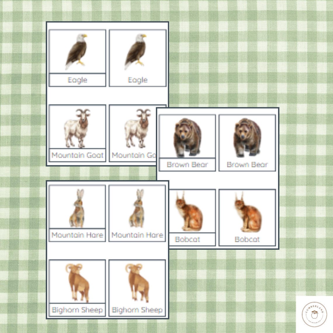 Mountain Animals Montessori 3-part Cards - Etsy