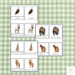 Mountain Animals Montessori 3-part Cards - Etsy