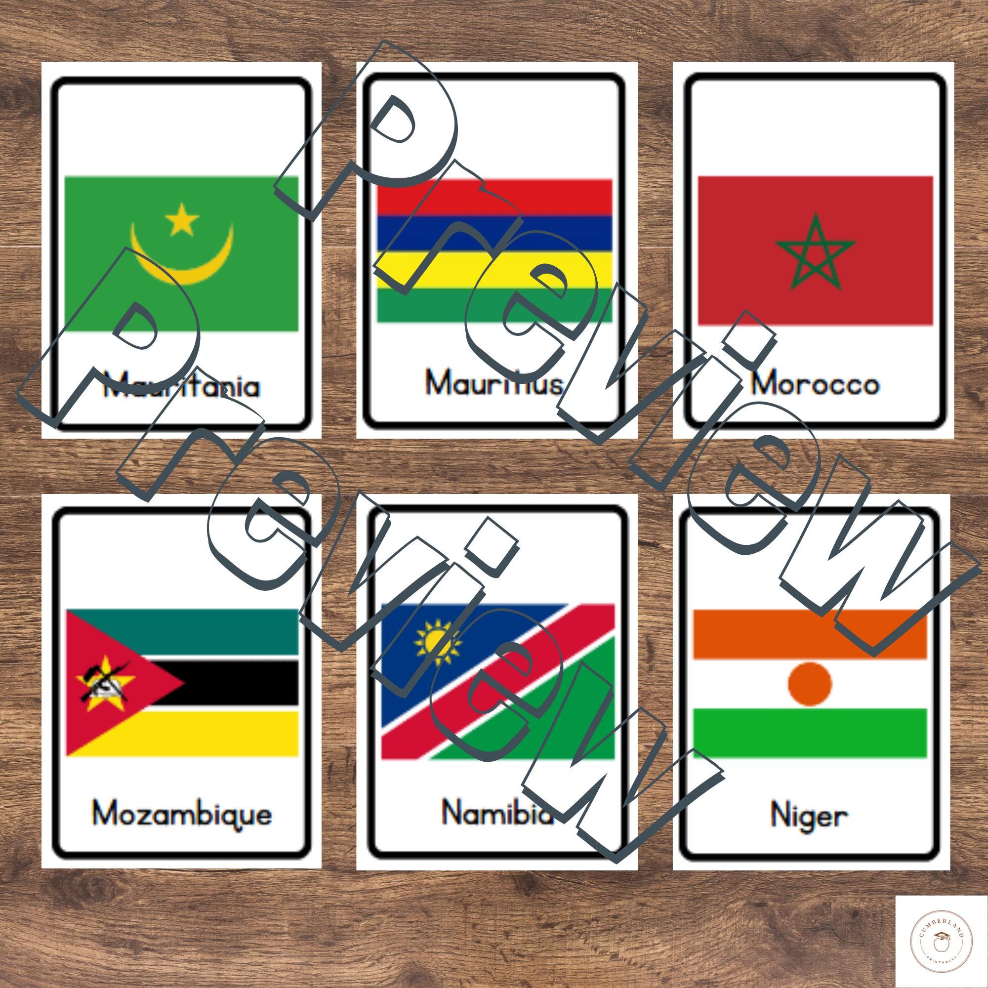 Flags of Africa Flashcards: Geography & Social Studies (PDF) - Etsy