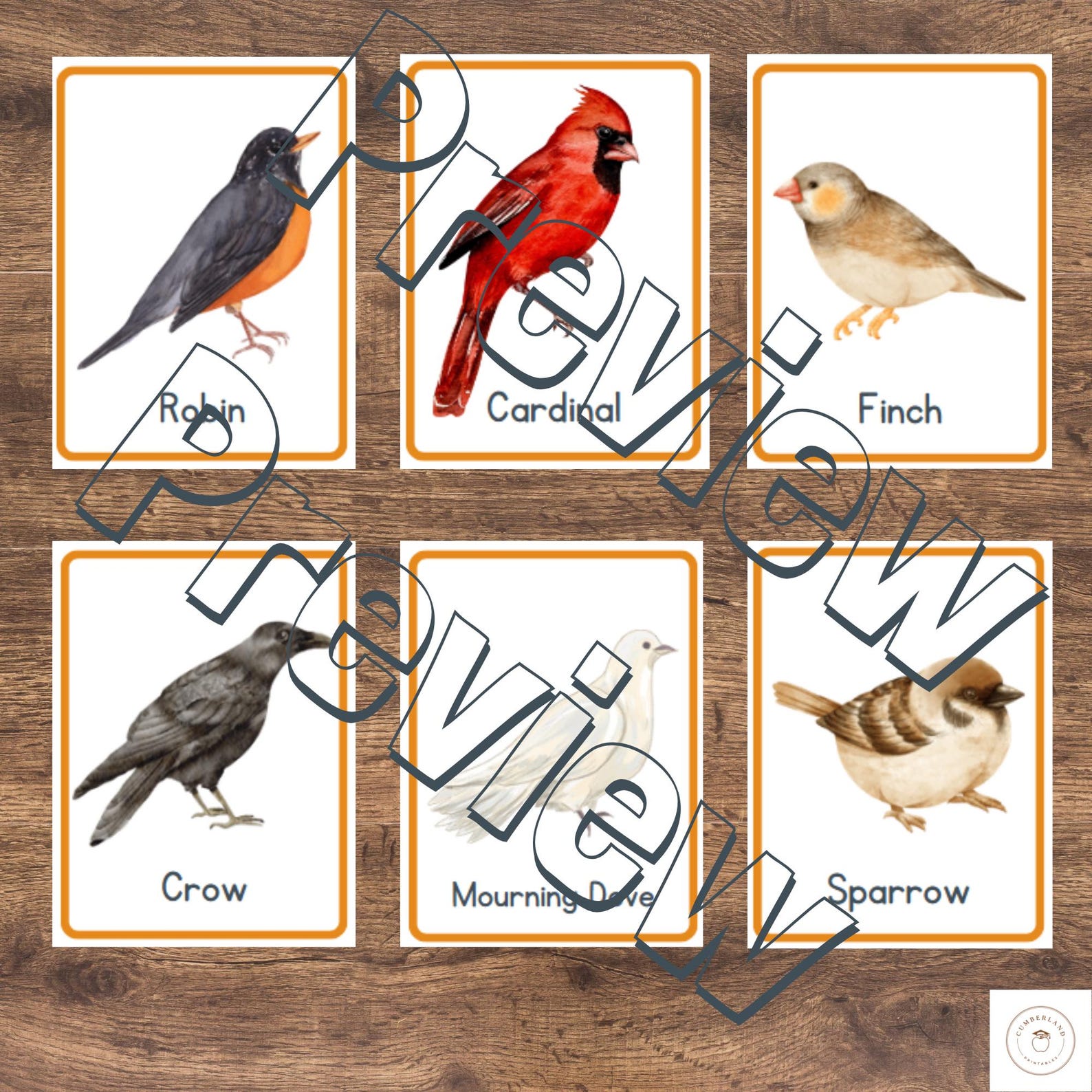 North American Birds Flashcards - Bird Identification | Nature Study ...