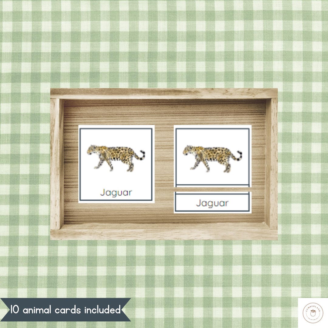 Rainforest Animals Montessori 3-part Cards - Etsy