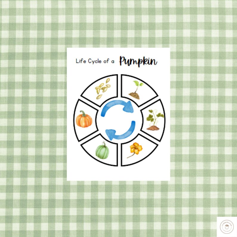 Life Cycle of a Pumpkin Montessori 3-part Cards & Poster - Etsy Canada